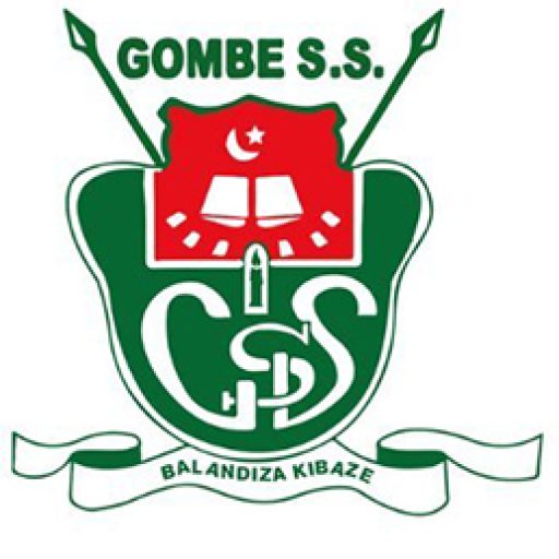 Curriculum – Gombe Secondary School